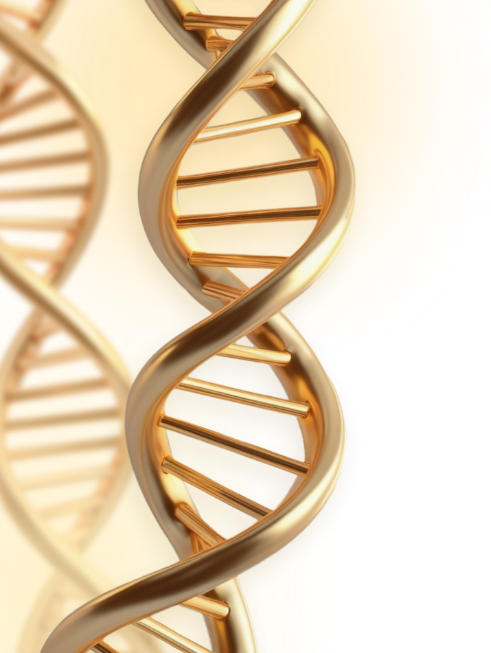 History of Generations